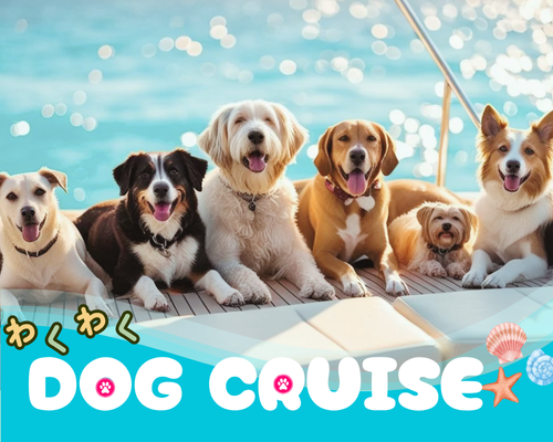 【新登場】DOG CRUISEプランのご案内 | 葉山マリーナ